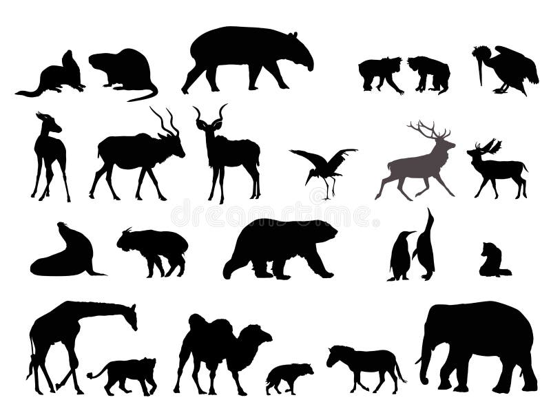 Animal silhouette contour stock vector. Illustration of gorilla - 13967341