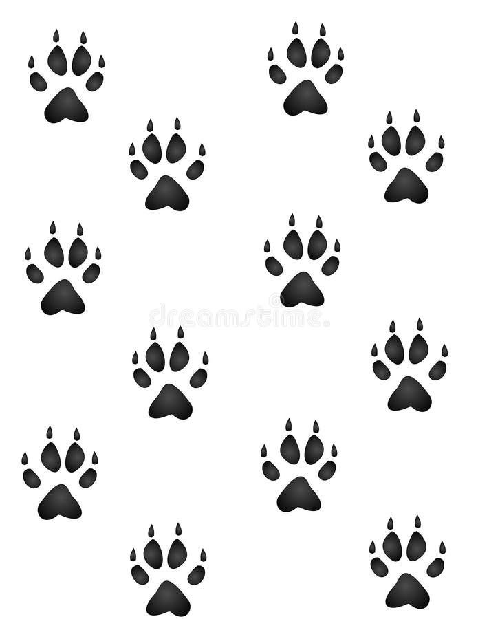 Wolf Paw Prints stock vector. Illustration of ground, isolated - 4385651