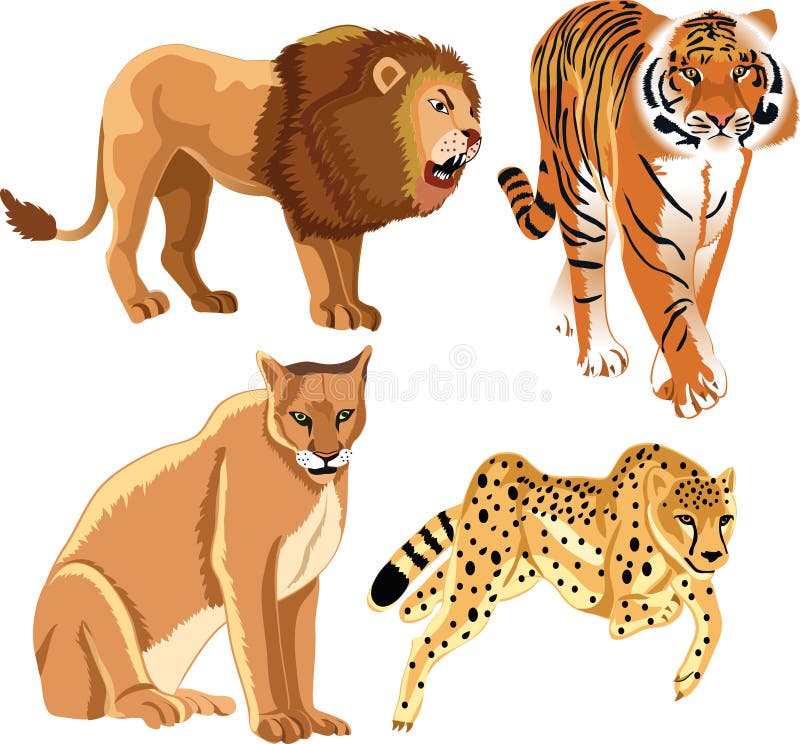 Set of wild animals stock vector. Illustration of nature - 32487044