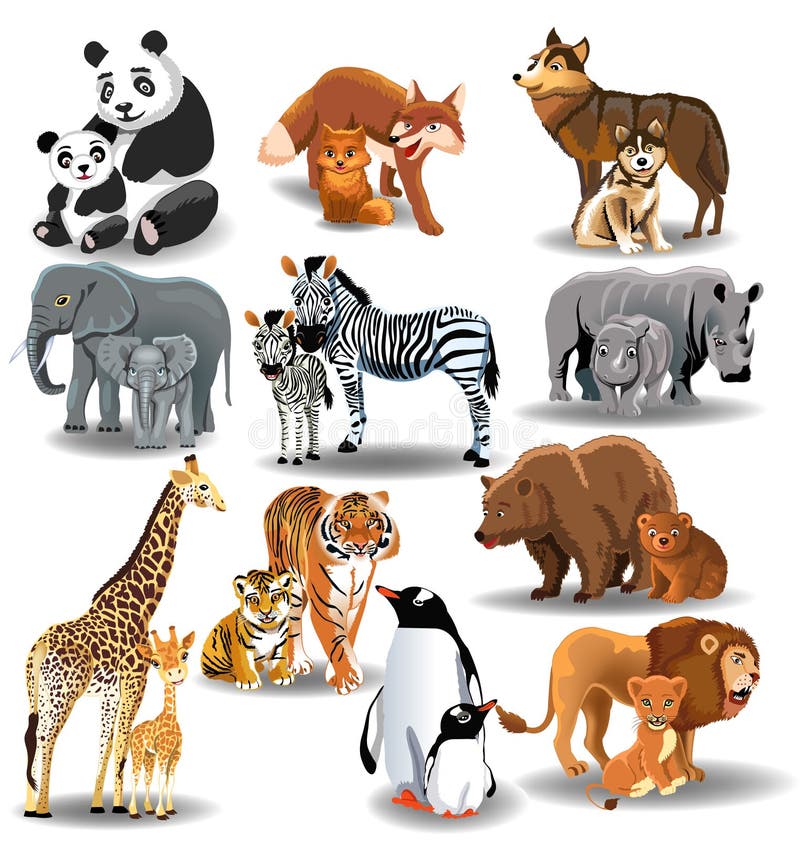 900+ Small wild animals Free Stock Photos - StockFreeImages