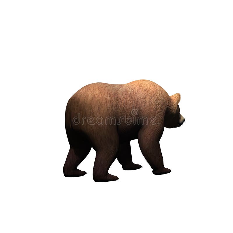 Set of Brown Bear in Different Movements with Shadow on the Floor on ...