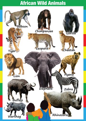 Wild Animals Chart for Kids Stock Illustration - Illustration of help ...
