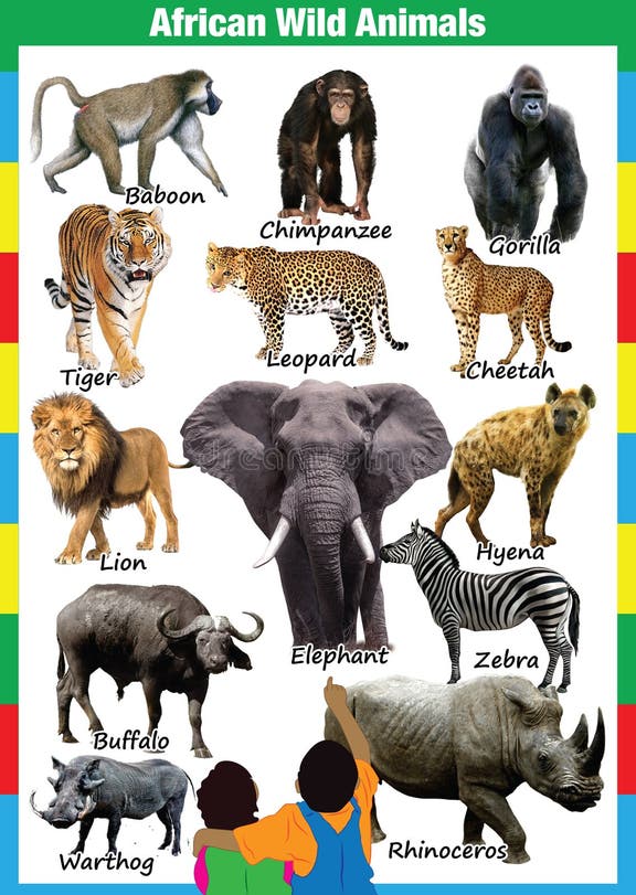 Wild Animals Chart for Kids Stock Illustration - Illustration of help ...