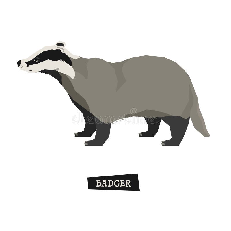 Wild Animals Collection Badger Geometric Style Stock Vector ...