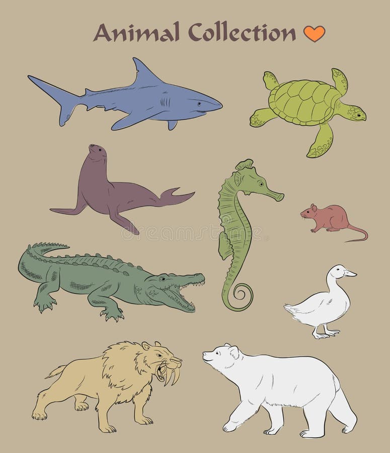 Wild Animals Collection Vector Stock Illustration - Illustration of ...
