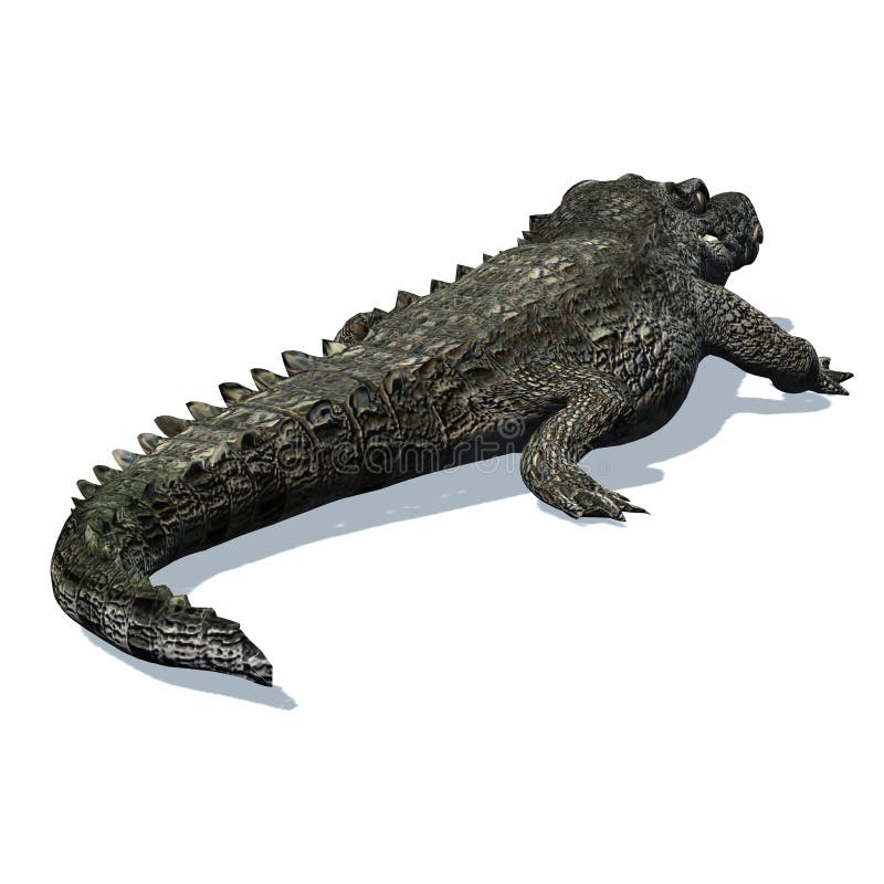 Crocodile Shadow Stock Illustrations – 464 Crocodile Shadow Stock ...