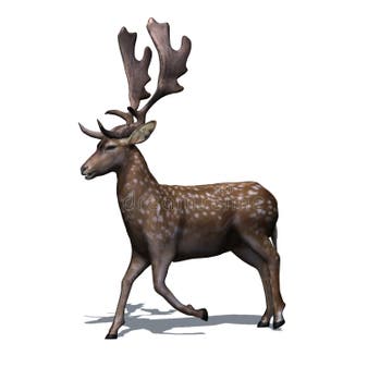 Reindeer Side View Stock Illustrations – 624 Reindeer Side View Stock ...