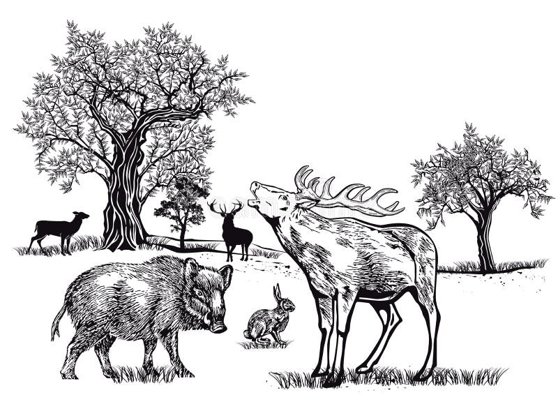 Wild animals in a glade stock vector. Illustration of scenic - 62454719