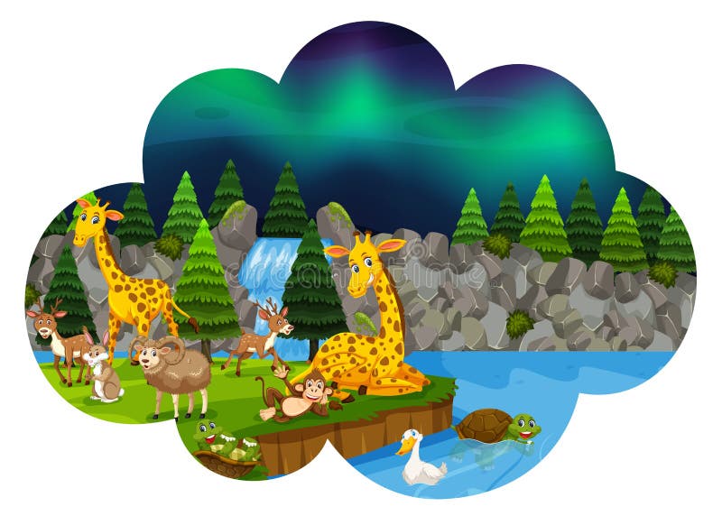 Wild animals at night stock vector. Illustration of design - 126757431