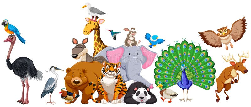 Wild Animals Standing in Group Stock Vector - Illustration of duck ...