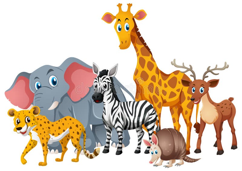 Wild Animals Together in Group Stock Vector - Illustration of drawing ...