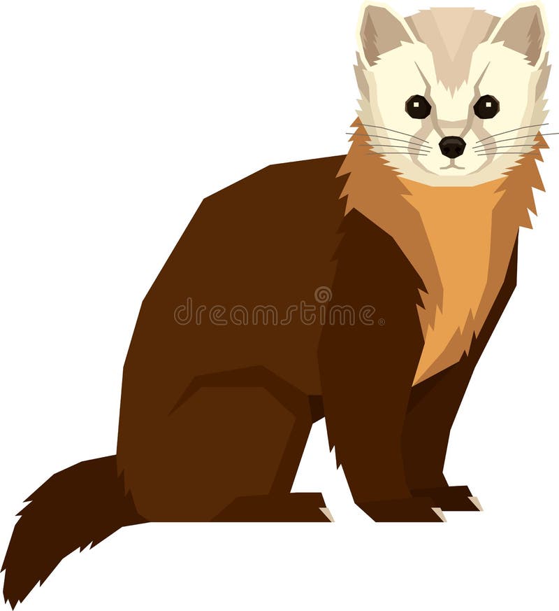 Marten Stock Illustrations – 882 Marten Stock Illustrations, Vectors ...