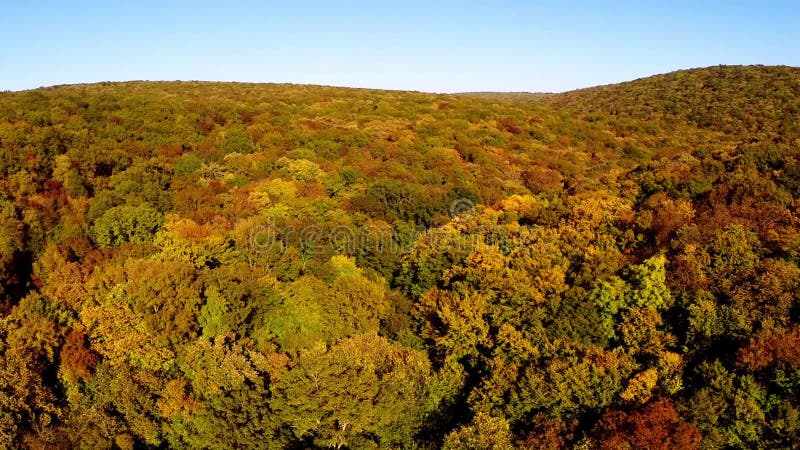 Wild Balkan Forest in Autumn Colors Stock Video - Video of autumn ...