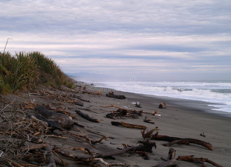 Wild beach stock photo. Image of zealand, cloud, blue - 28127296