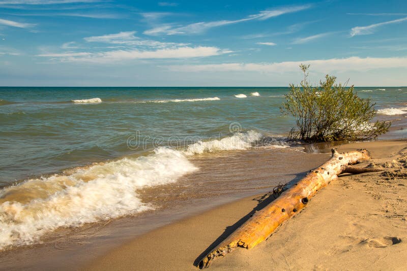 Wild Beach. Summer Time Fun. Stock Photo - Image of waves, trail: 75224030