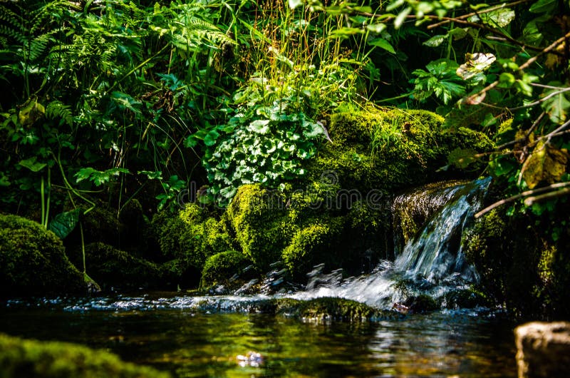The Wild and Beautiful Landscape. Clean Mountain River Stock Photo ...