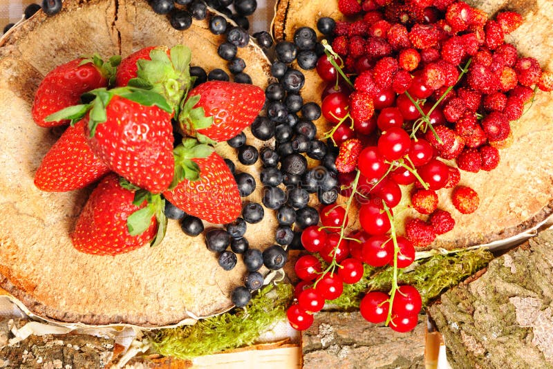 Wild berries stock image. Image of blue, group, sweet - 26158149