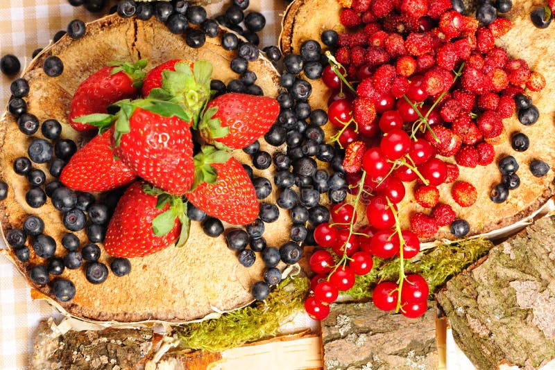 Wild berries stock photo. Image of natural, color, juicy - 26182614