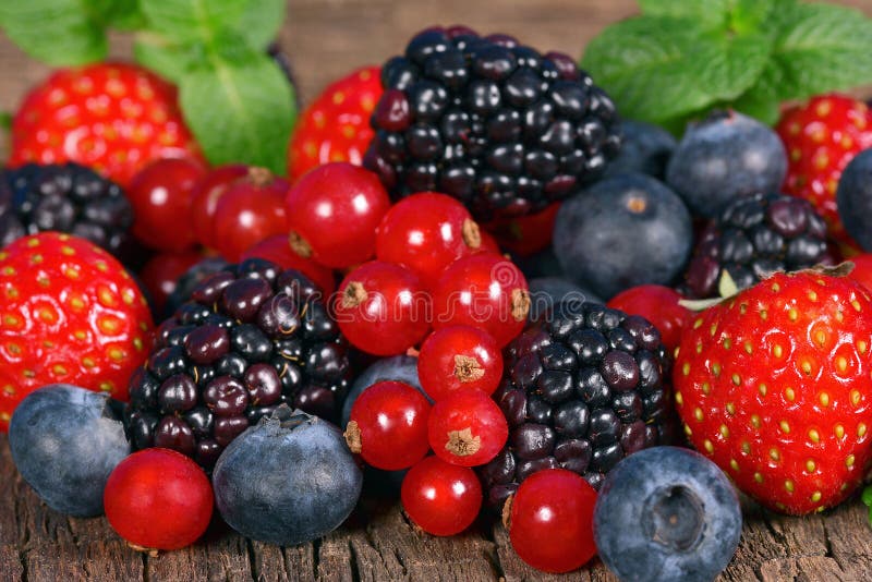 Wild berries stock image. Image of background, summer - 38175977