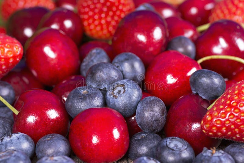 Wild berries and cherries stock image. Image of blueberries - 55078053