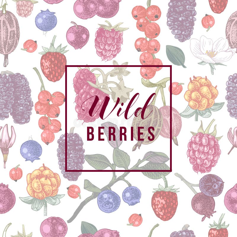 Wild Berries Emblem Over Seamless Pattern with Hand Drawn Berries Stock ...