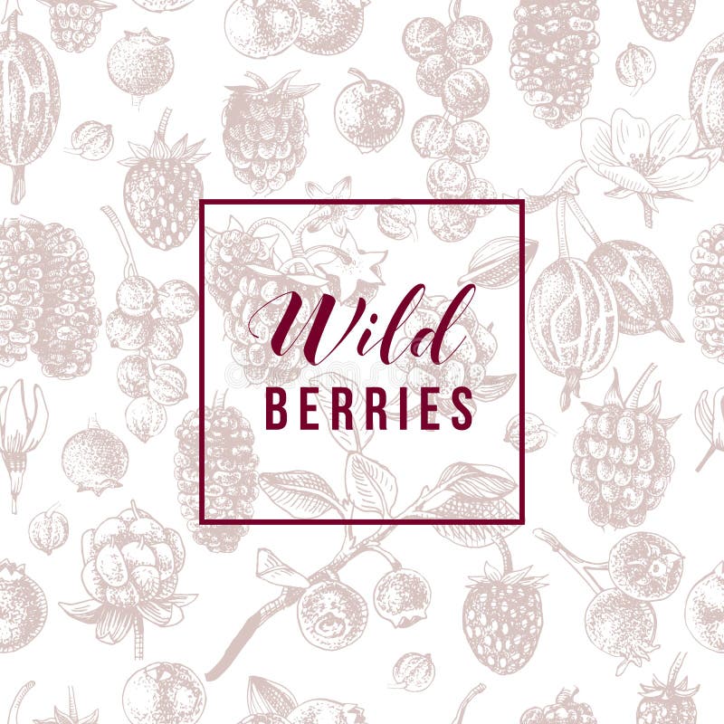 Wild Berries Emblem Over Seamless Pattern with Hand Drawn Berries Stock ...