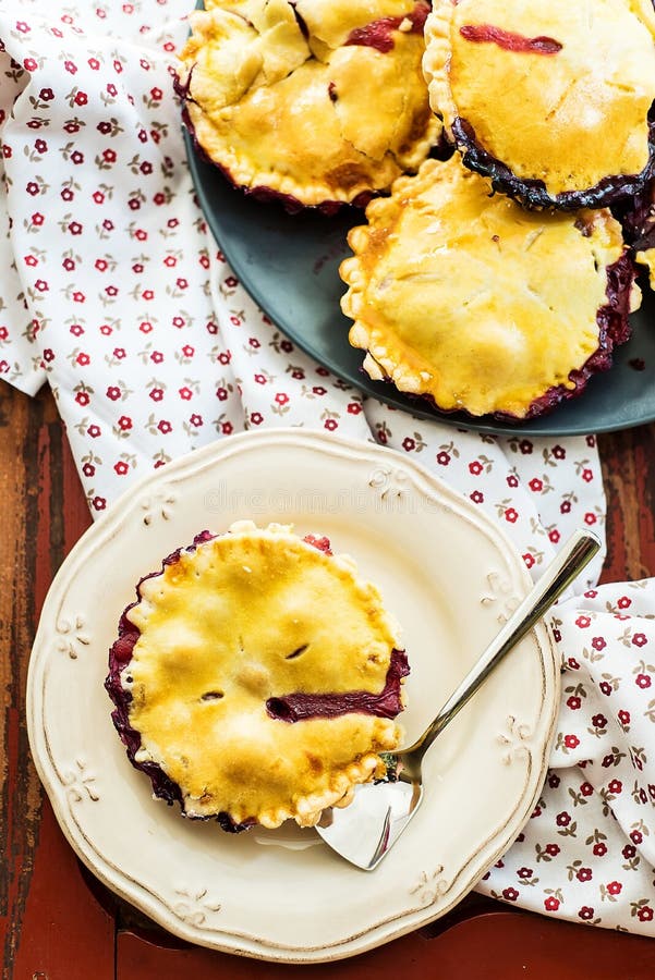 Wild berries pies stock photo. Image of dessert, bake - 74049100