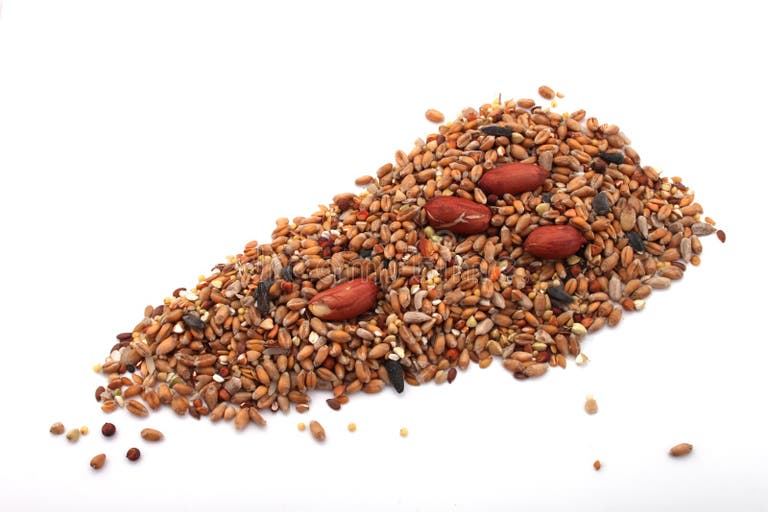 135,005 Wild Bird Food Chart Stock Photos - Free & Royalty-Free Stock ...