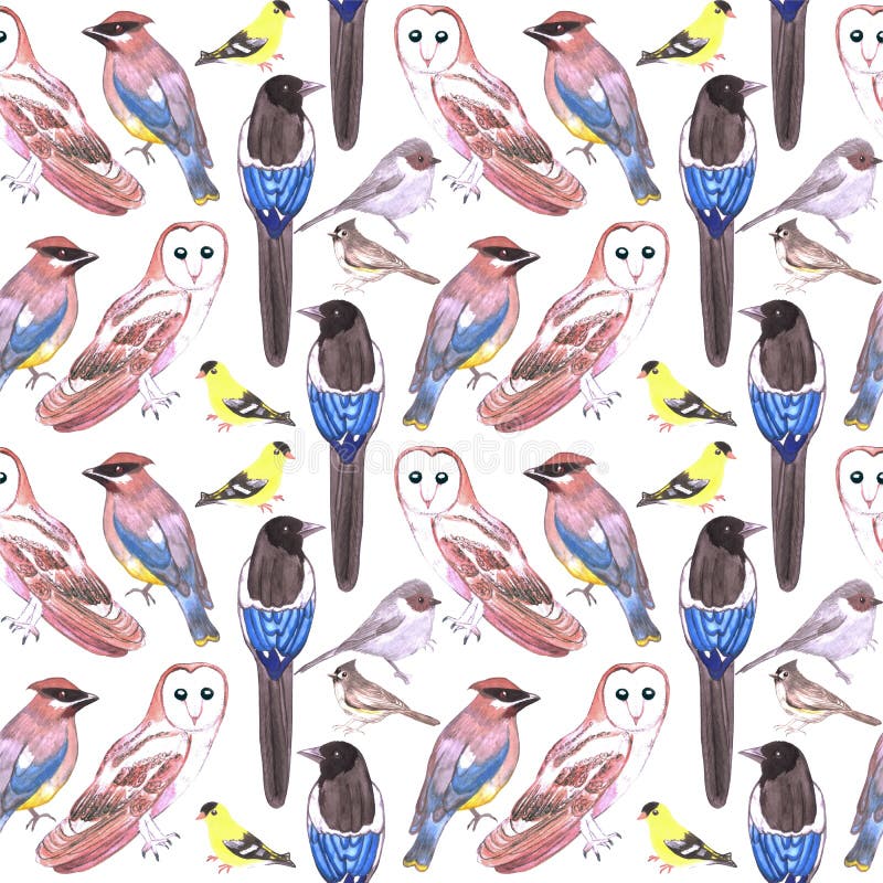 Wild Birds Watercolor Seamless Background- Birds of Usa Stock ...