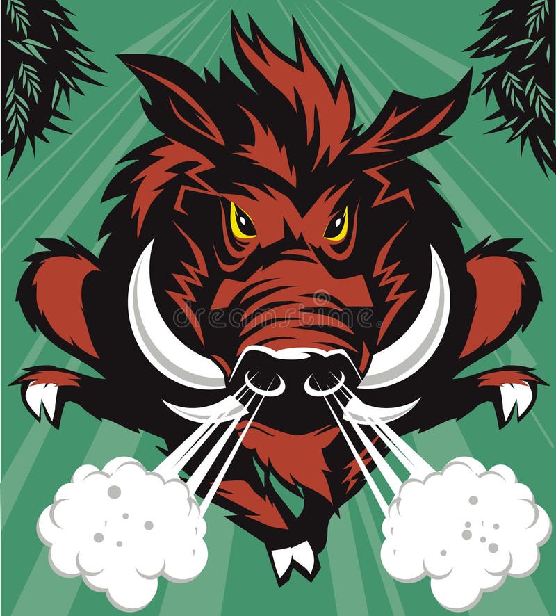 Wild Boar stock vector. Illustration of animal, angry - 22066796