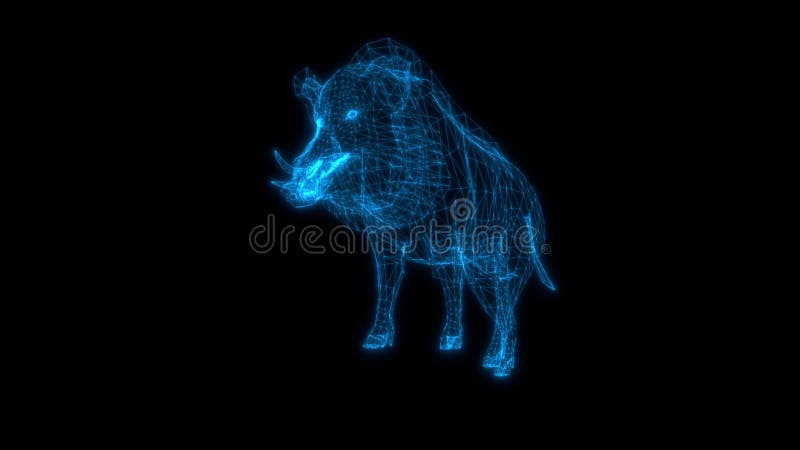 Wild Boar Attack on Black Background Stock Video - Video of wild, speed ...