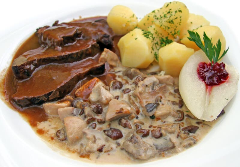 Wild boar dish stock photo. Image of cranberry, feast - 17479450