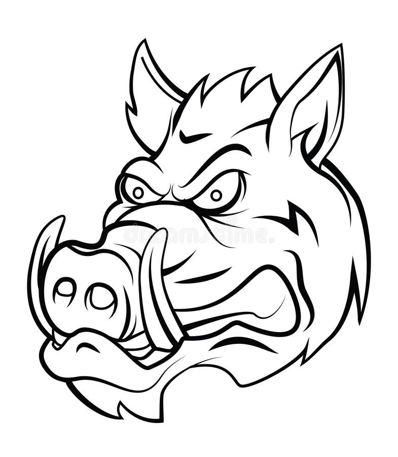 Wild Boar Head stock vector. Illustration of team, graphic - 47882978