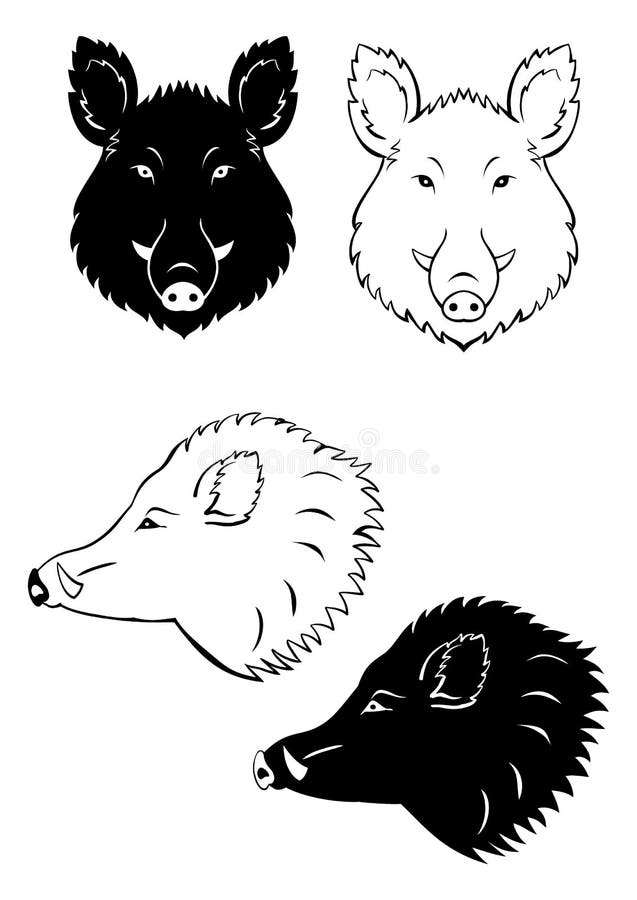Wild boar head icon set stock vector. Illustration of view - 125293458