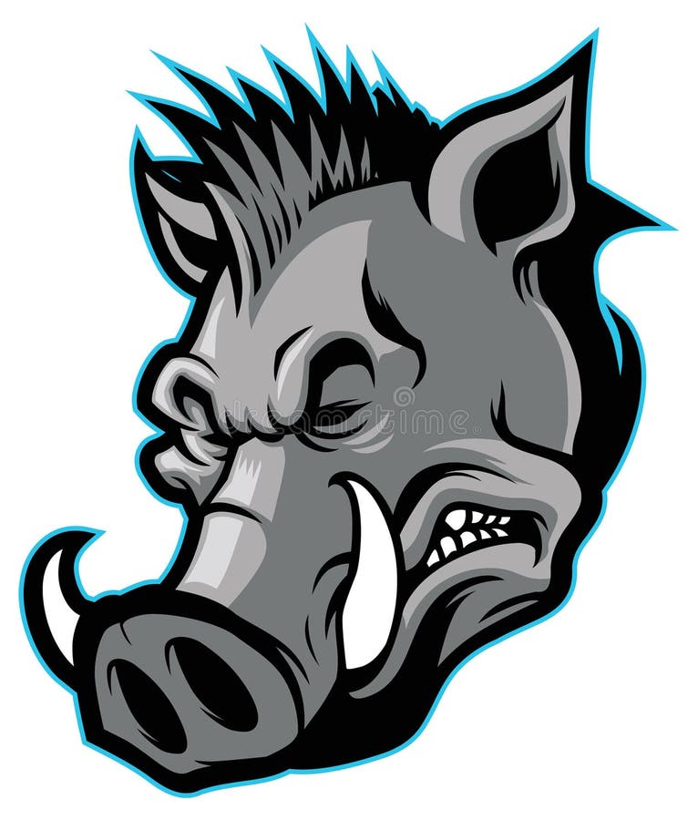 Wild Hog Head Clip Art 196 Wild Boar Head Stock Photos, High Res