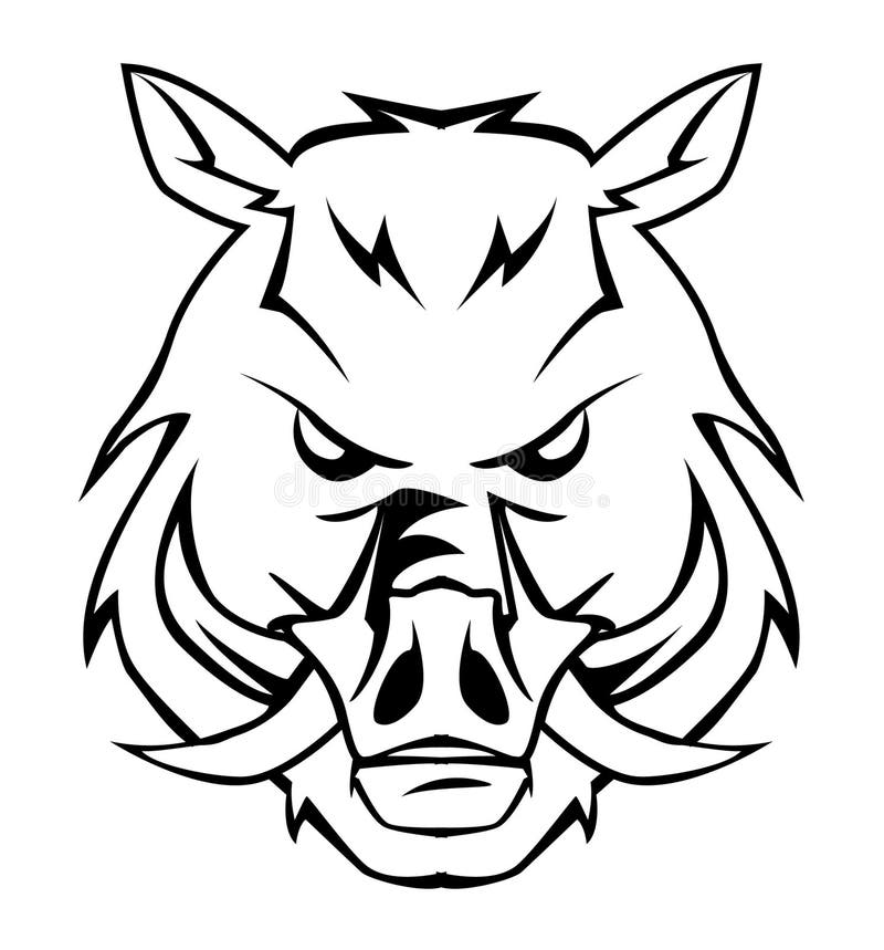 Wild boar stock vector. Illustration of boar, head, design - 34050905