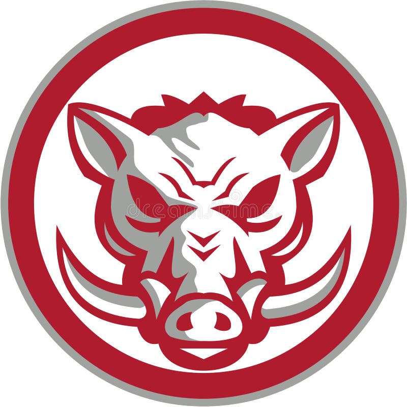 Boar Razorback Mascot Vector Logo Stock Vector - Illustration of sport ...