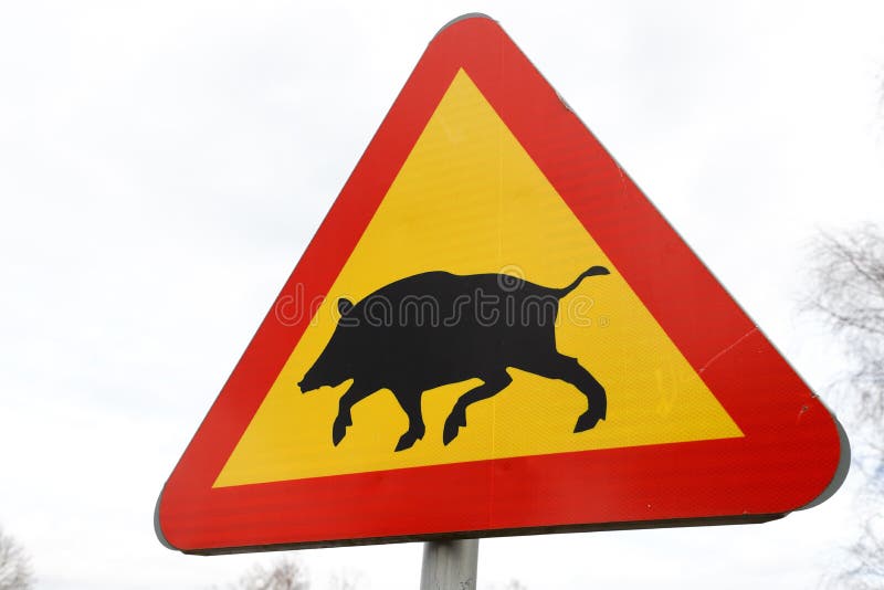 Wild boar warning sign stock photo. Image of concept - 179070590