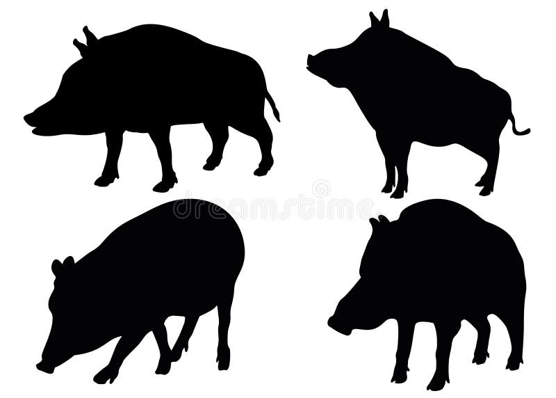 Wild Boar in Different Poses in the Set. Stock Vector - Illustration of ...