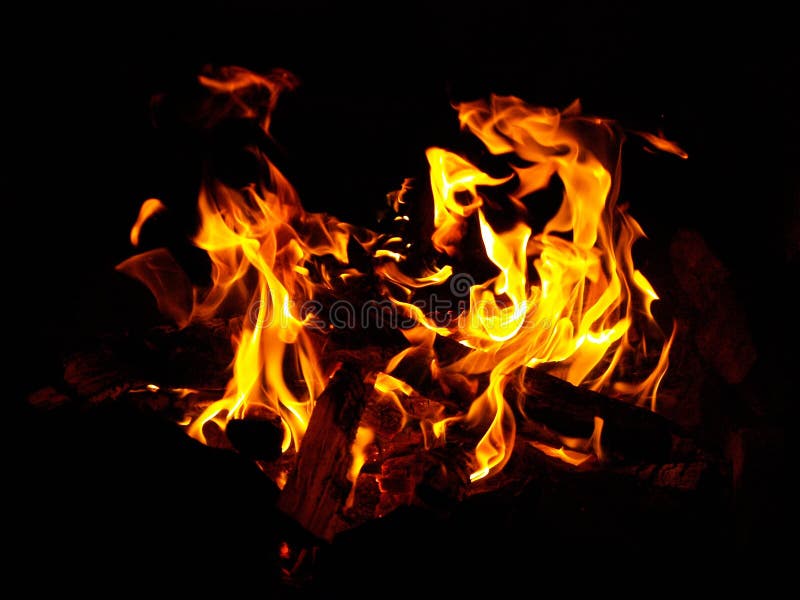Wild bonfire stock image. Image of fuel, charcoal, closeup - 2320157
