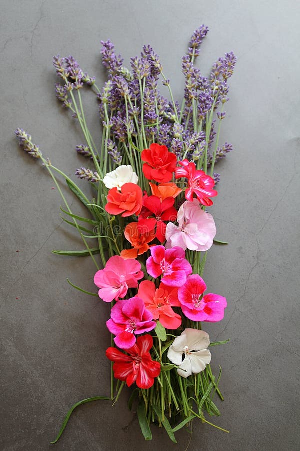 Wild Bouquet. Flowers, Lavender Stock Photo - Image of bouquet, flower ...