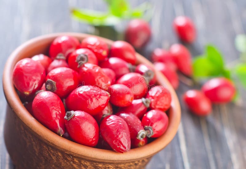 Wild-brier stock image. Image of eglantine, organic, natural - 35384435