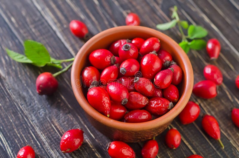 Brier Stock Images - Download 6,163 Royalty Free Photos