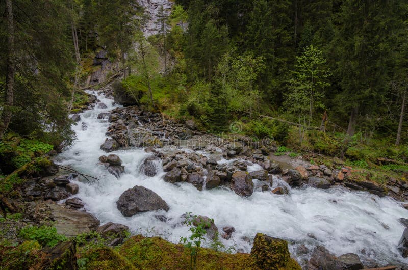Wild Brook in Nature Landscape Stock Image - Image of nature, beautiful ...