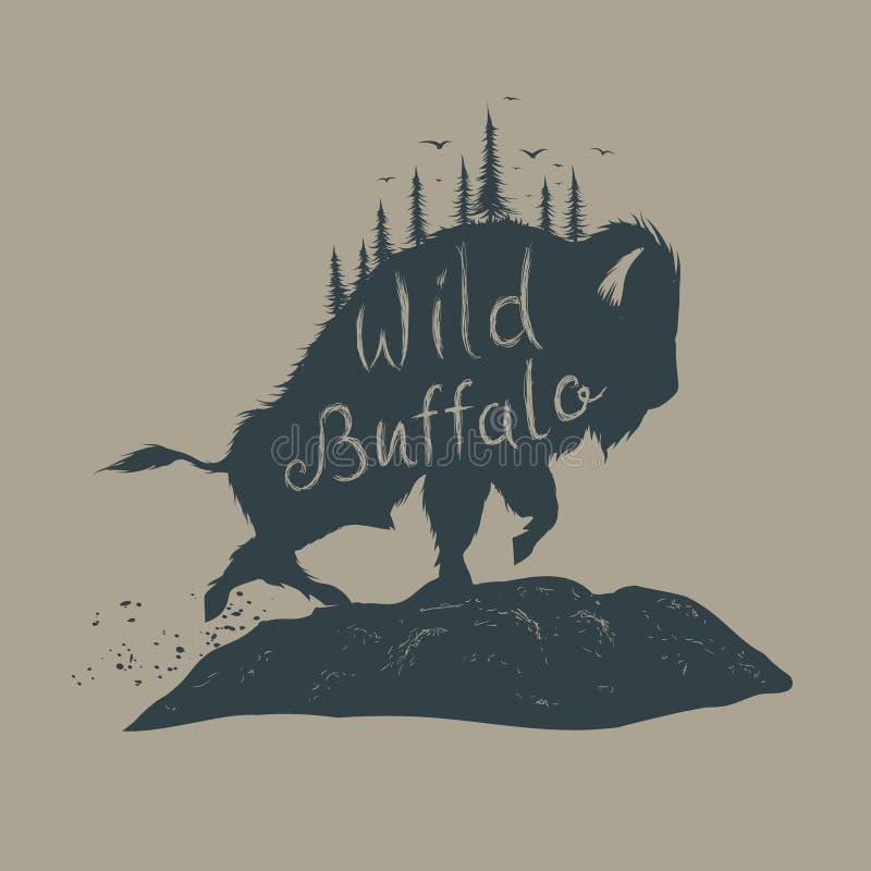 Wild buffalo stock vector. Illustration of graphic, tshirt - 79614887