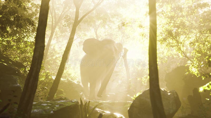Wild Bull Elephant in the Jungle with Deep Fog Stock Photo - Image of ...