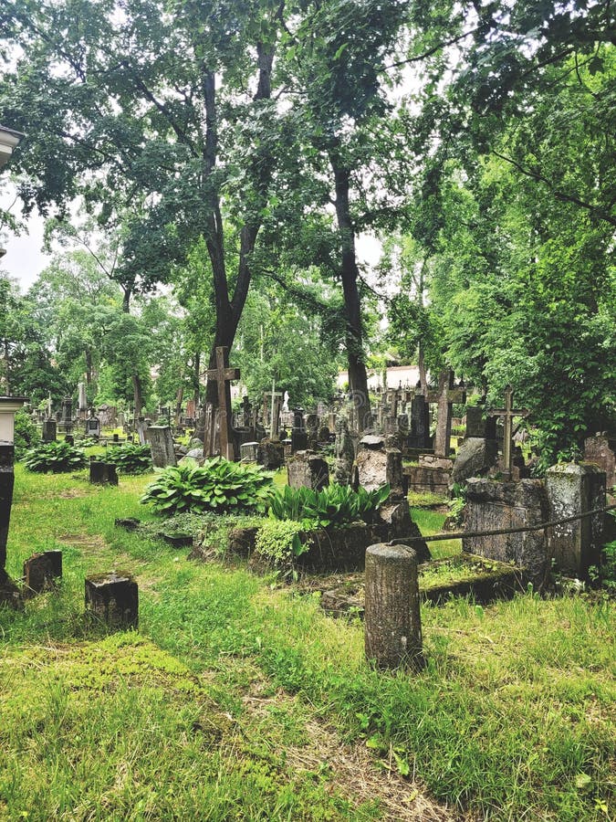 Wild cemetery natural stock image. Image of death, religion - 262763769