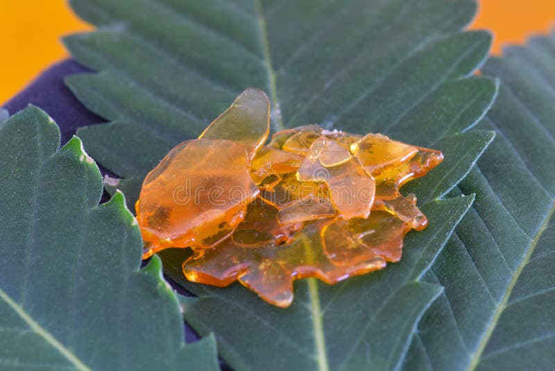 Wild Cherry Punch Cannabis Shatter 03 Stock Photo - Image of cherry ...