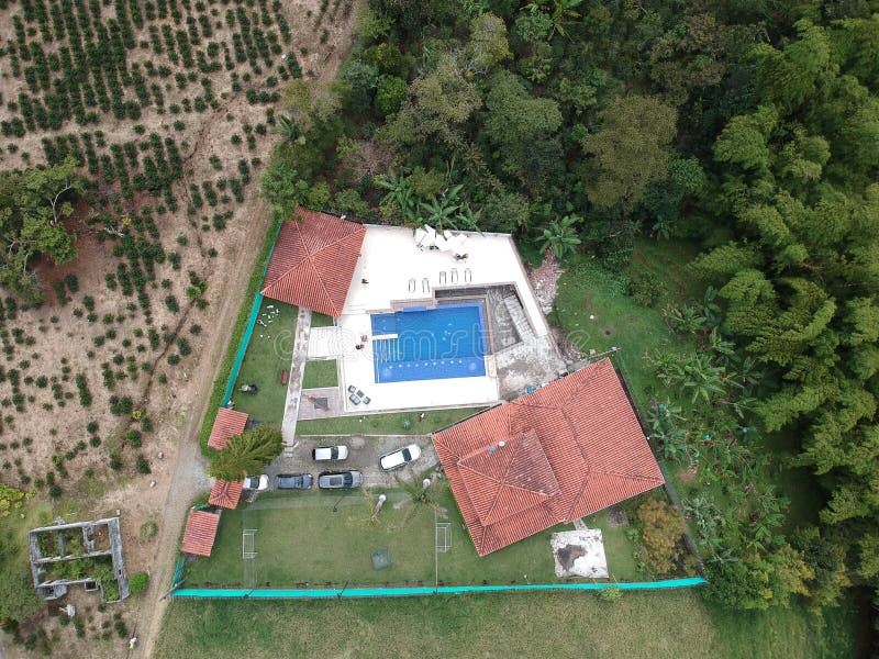 Wild and civil people stock image. Image of wild, yard - 194771907