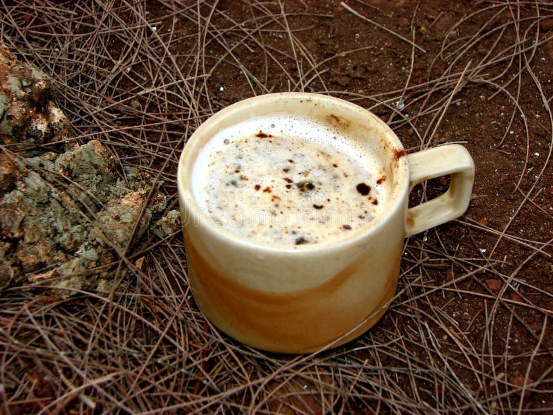 Wild Coffee stock photo. Image of caffe, still, drink - 1997398